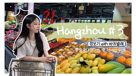 항저우 브이로그 03ㅣ한중커플ㅣ그땐 몰랐었죠 바선생을 만날줄은ㅣ장보기 브이로그ㅣ중국마트ㅣ유학브이로그ㅣ타오바오ㅣ韩中情侣ㅣ杭州 Youtube