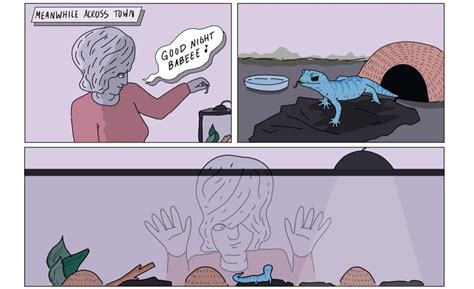 I Put A Leopard Gecko In My Lil Comic Fantasy Morph Her Setup Needs More Clutter R