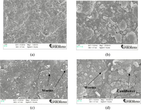 a d surface morphology of ni tio2 composite coating with varying