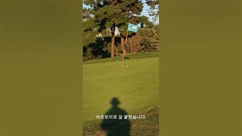 어프로치 클럽의 다양성 피치샷 어프로치 어프로치샷 칩샷 골프스윙 골프 Golfswing 골프연습 Golf ゴルフ ゴルフスイング Youtube
