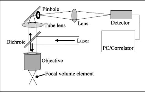 Figure 2 From Fluorescence Correlation Spectroscopy For The Detection