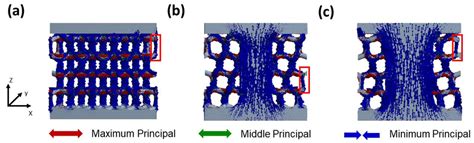 The Vectors Of Principal Stresses In The Porous Structures Of Each Download Scientific Diagram