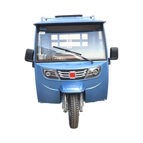 1000w 3 Wheel Motorized Tricycle Adult Electric Motorcycle Cargo