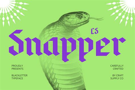 Cs Snapper Font Craftsupplyco Fontspace