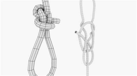 Knot 3d Model Turbosquid 1667043