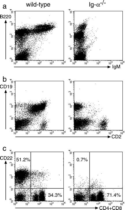 Ig Deficient B Cells Do Not Express Surface Ig Molecules And Are Download Scientific Diagram