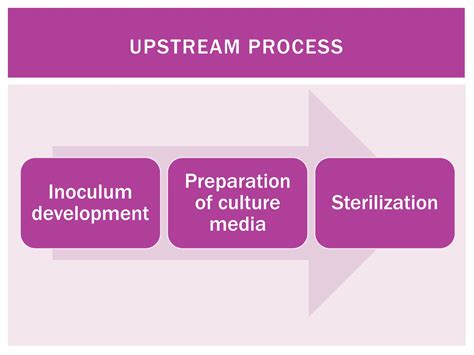 Upstream And Downstream Processing Of Fermentationpptx