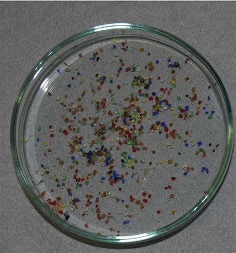 Figure 1 From A New Analytical Approach For Monitoring Microplastics In Marine Sediments