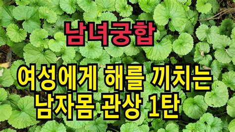 남녀궁합 여성에게 해를 끼치는 남자몸 관상 이런 남자는 피해서 만나라 Youtube