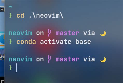It Didnt Shows Conda Env By Default · Issue 4430 · Starshipstarship