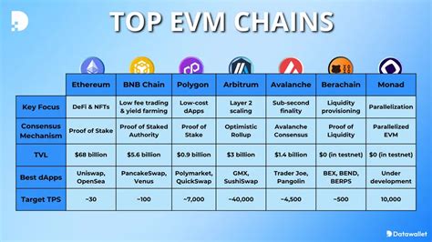What Are EVM Chains Definition And Examples