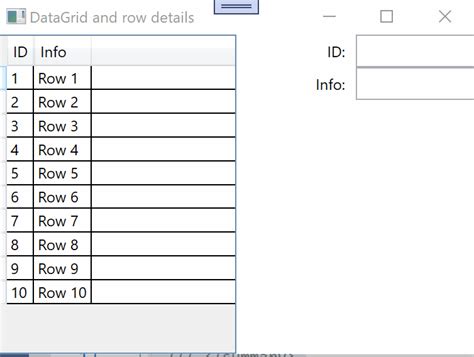 Wpf Core Datagrid Currentitem For Datacontext Of Another Grid
