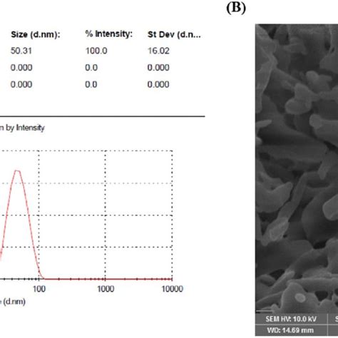 Particle Size Distribution Curve A And Scanning Electron Microscopic Download Scientific