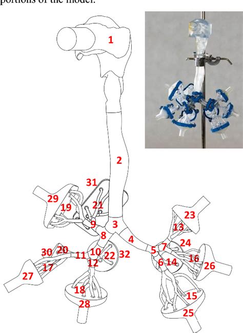 Figure 1 From Prediction Of Localized Aerosol Deposition In A Realistic