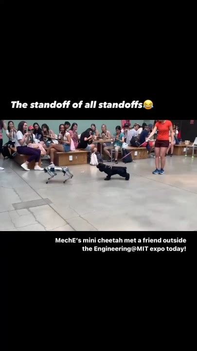 Video Brijesh Kumar Awasthi On Linkedin Robotics