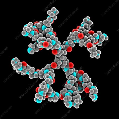 Dendrimer Molecular Structure Stock Image C030 9074 Science