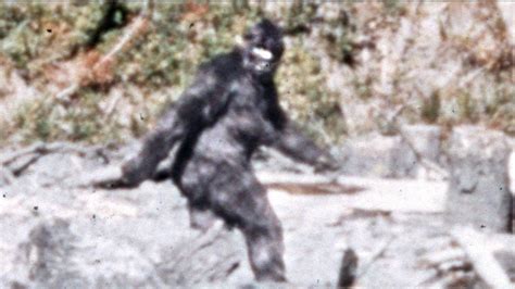 Georgia Man Reports Seeing Bigfoot Alongside A Rural Road Charlotte