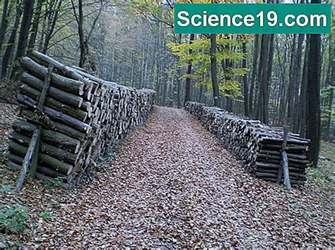 Az Kiszámítható Sebesség Kiszámítása 💫 Tudományos És Népszerű