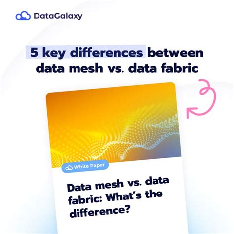 Datamesh Datafabric Datacatalog Datagalaxy