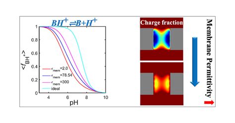 Influence Of Membrane Permittivity On Charge Regulation Of Weak