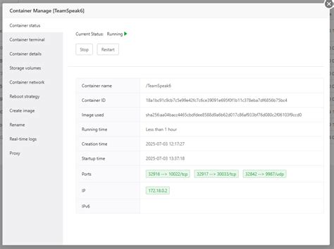 Aapanel Docker Server Cant Connect Issue Teamspeak 6 Server Teamspeak