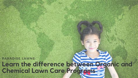 Learn The Difference Between Organic And Chemical Lawn Care Programs