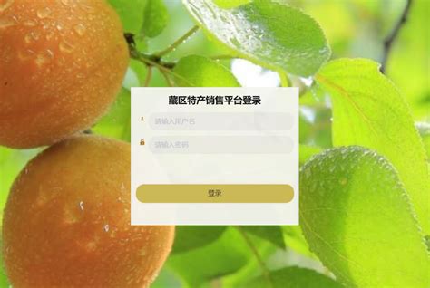 基于java springboot 的藏区特产销售平台 csdn博客