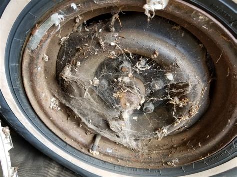 68 Rusto Cat Restoration The Project Forum Classic Cougar Community