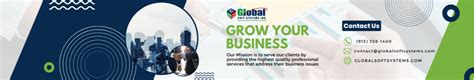 Global Soft Systems Inc Linkedin