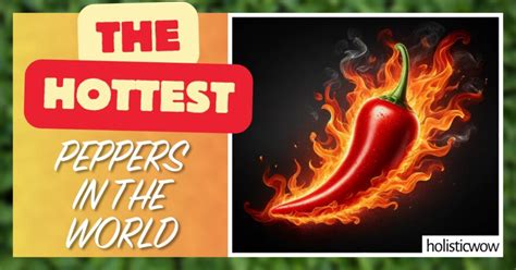 The Worlds Hottest Peppers That Burst With Heat And Flavor