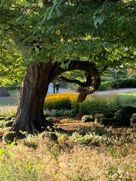 Teaching With The Teaching With The Dollhouse Collector