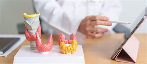 Comprehensive Thyroid Panel Prodi Lab