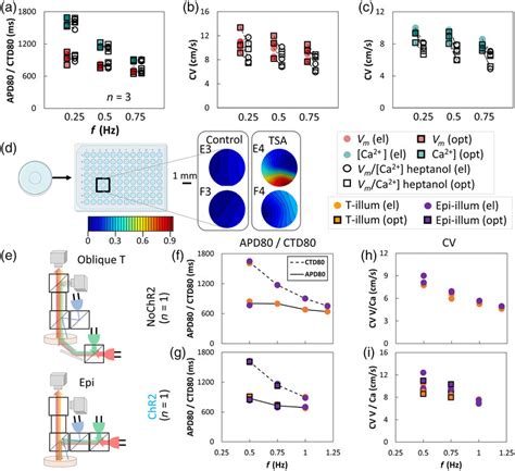 Applications And Extensions Of The All Optical Mapping System A C Download Scientific