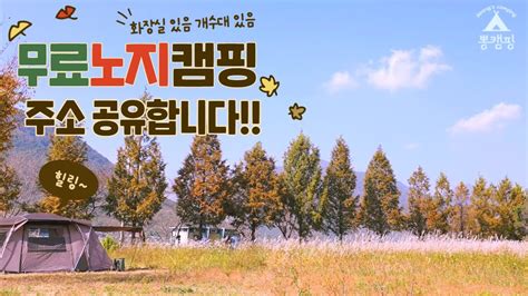 🌾드넓은 갈대밭의 은빛 물결 🍂🍁화장실 개수대 다 있는 무료 노지캠핑 주소 공유합니다 가족캠핑 캠핑요리 레시피 캠핑난로 파세코 난로 반려견동반캠핑 Youtube