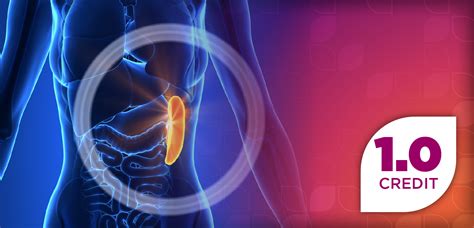 Asco 2025 Promising Safety And Efficacy Of Encorafenib And Binimetinib In Resected Stage Ii