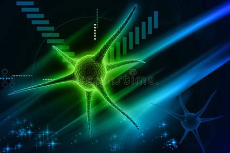 Nerve Cell Stock Illustration Illustration Of Neural
