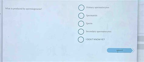 Solved What Is Produced By Spermiogenesis Primary Spermatocytes