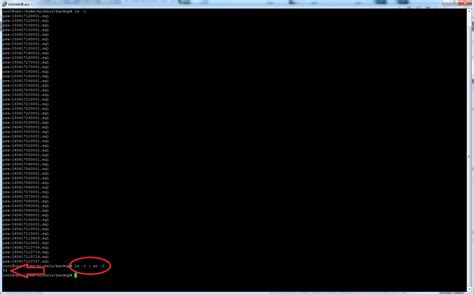 come creare uno script di shell per il backup di un database mysql