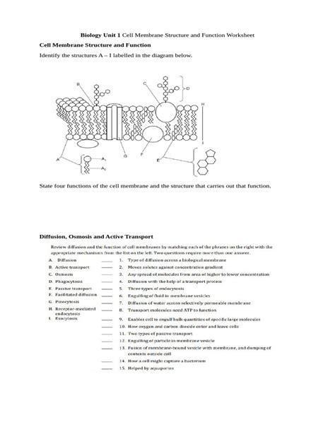 Biology Unit 1 Cell Membrane Structure And Function Worksheet Pdf
