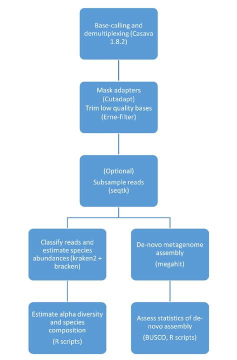 Workflow Of The Main Bioinformatics Analysis Performed In The Present