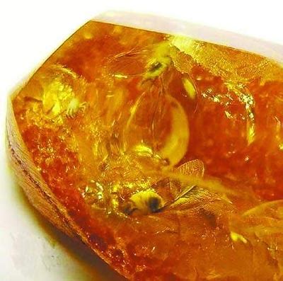 望花区图册 360百科