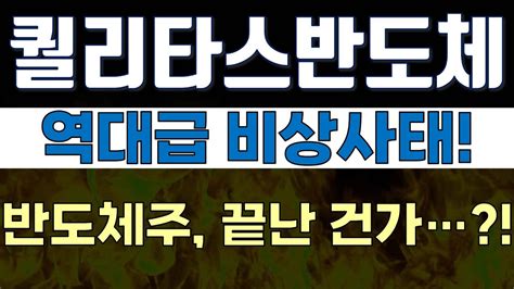 퀄리타스반도체 역대급 비상사태 반도체주 끝난 건가 Youtube