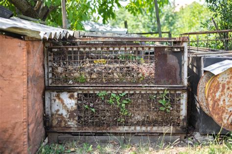 Cold Composting Step By Step Guide