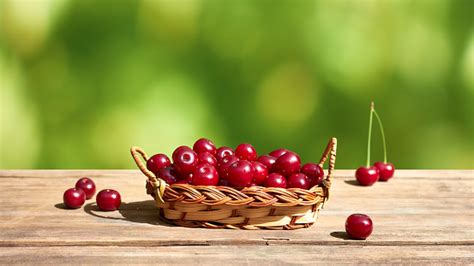 녹색으로 흐린 배경에 고리 버들 바구니에 빨간 익은 체리 0명에 대한 스톡 사진 및 기타 이미지 0명 7월 건강한 식생활 Istock