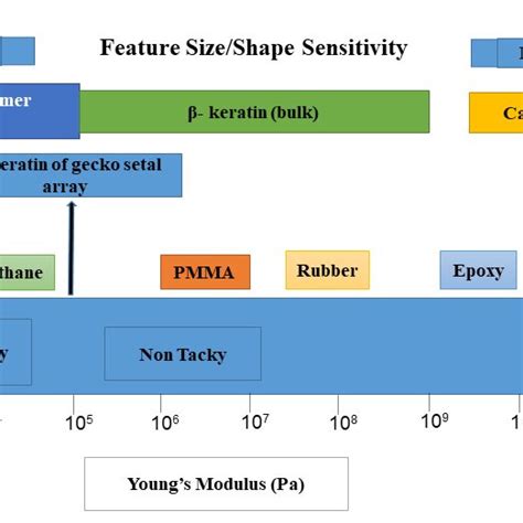 Shape Sensitivity Is Shown For Various Materials Youngs Modulus Range Download Scientific