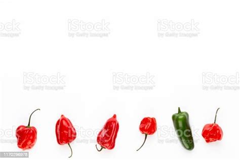 하얀 배경에 허브 잎과 칠리 페퍼를 향신료 야채 패턴입니다 흰색 배경에 꽃과 야채 상단보기 평평한 누워 독일에 대한 스톡 사진 및 기타 이미지 Istock