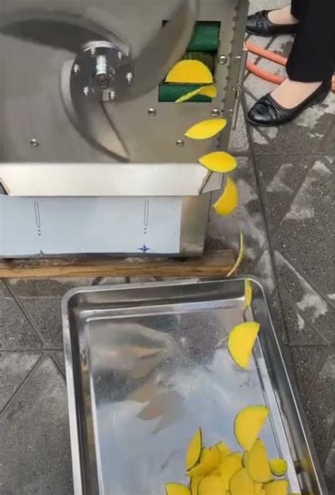 호박 써는 기계 Youtube