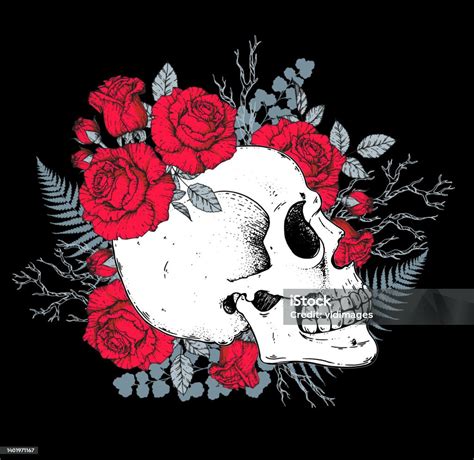 두개골과 장미 꽃 손으로 그린 그림 스케치 일러스트레이션 문신 빈티지 프린트 두개골과 장미 티셔츠 디자인 두개골에 대한 스톡 벡터 아트 및 기타 이미지 Istock