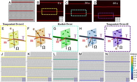 Active Transformations Of Topological Structures In Light Driven Nematic Disclination Networks
