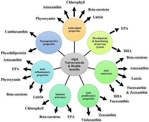 Various Microalgal Based Bioactive Compounds And Their Health Benefits Download Scientific Diagram